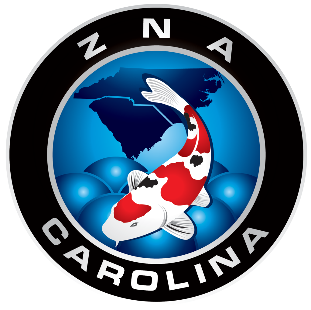 About ZNA Carolina – ZNA Carolina